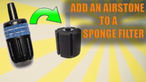 Air Stone Vs Sponge Filter: Making The Right Choice For Your Fish Tank ...