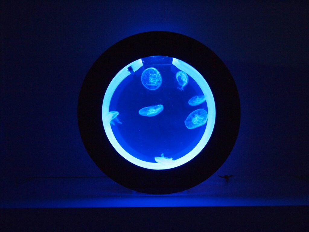 Orbit 20 Jellyfish Tank - Aquariumia
