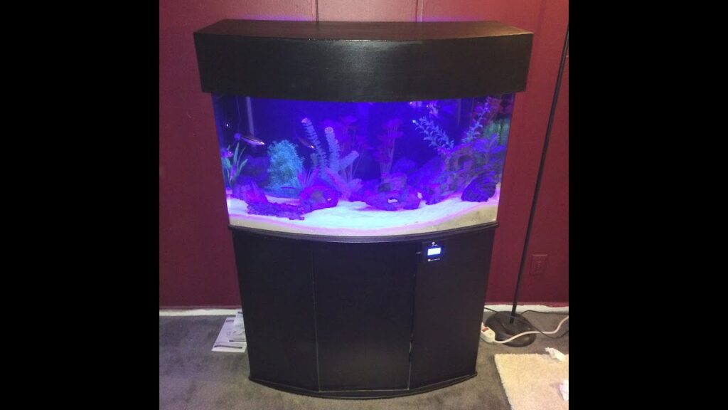 The Secret Of 46 Gallon Bow Front Aquarium - Aquariumia