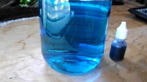 How To Use Methylene Blue For Fish? - Aquariumia