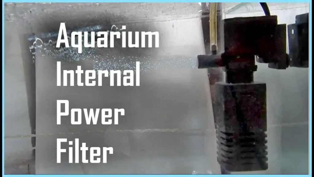 Tips To Get Best Position For Internal Aquarium Filter - Aquariumia