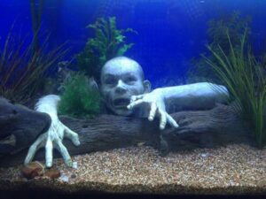 Horror Themed Fish Tank Decorations - Aquariumia