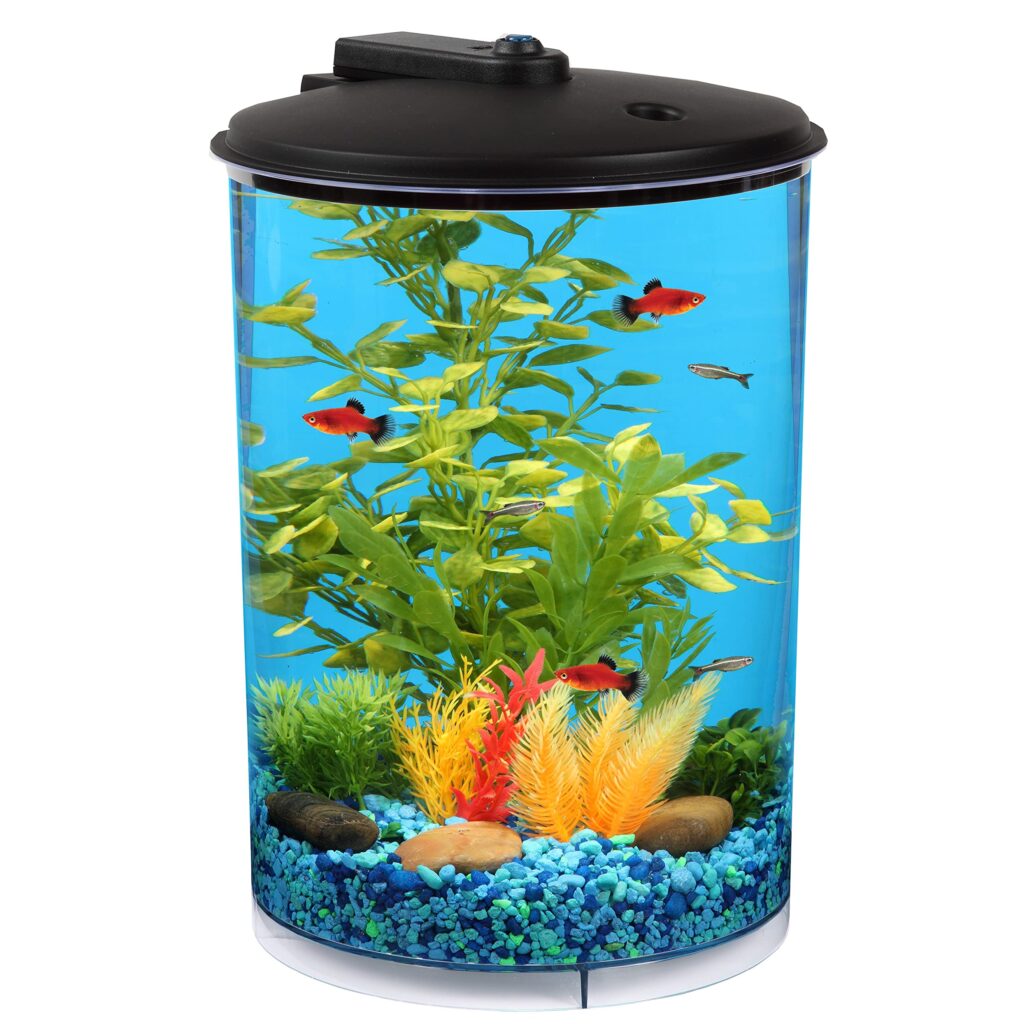 3 Gallon Fish Tank - Aquariumia