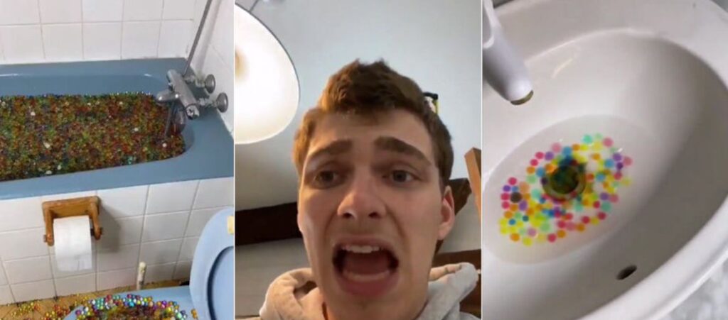 How To Dissolve Orbeez? - Aquariumia