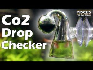 How To Use CO2 Drop Checker? - Aquariumia
