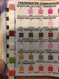 Color Chart Freshwater Aquarium Water Testing Chart - Aquariumia