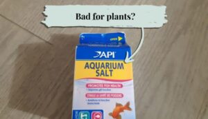 Is Aquarium Salt Safe For Plants? - Aquariumia
