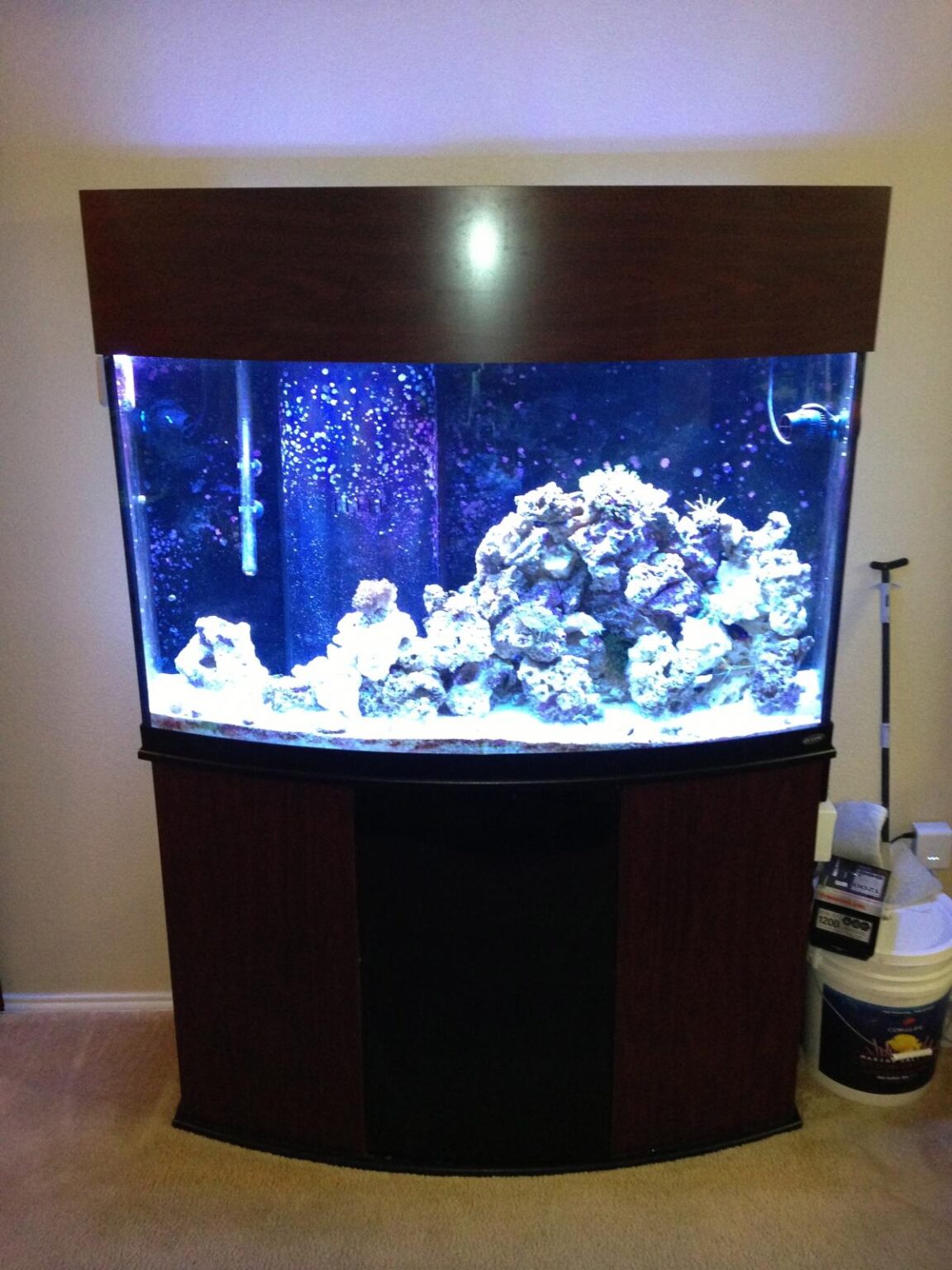 90 Gallon Bow Front Aquarium - Aquariumia