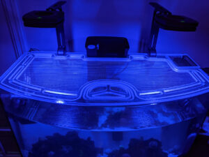 Enhance Your Aquarium Display With A Stunning 36 Gallon Bow Front ...