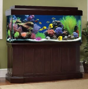 The Ultimate Guide To Setting Up A 180 Gallon Aquarium - Aquariumia