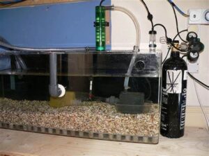 Undergravel Filter with Canister Filter: An Essential Combo for Optimal ...