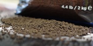 Fluval Stratum Vs Bio Stratum: Which Substrate Is Right For Your ...